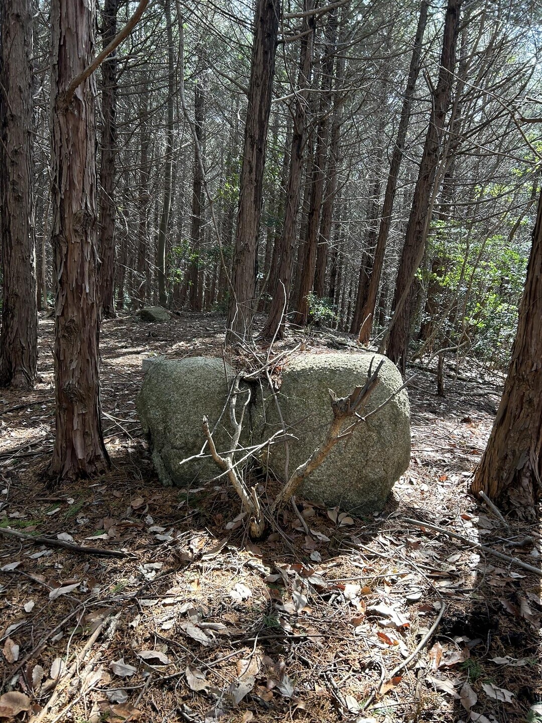 大平山、飯塚地区の山 / t@ke-bowさんの飯塚市の活動データ | YAMAP / ヤマップ