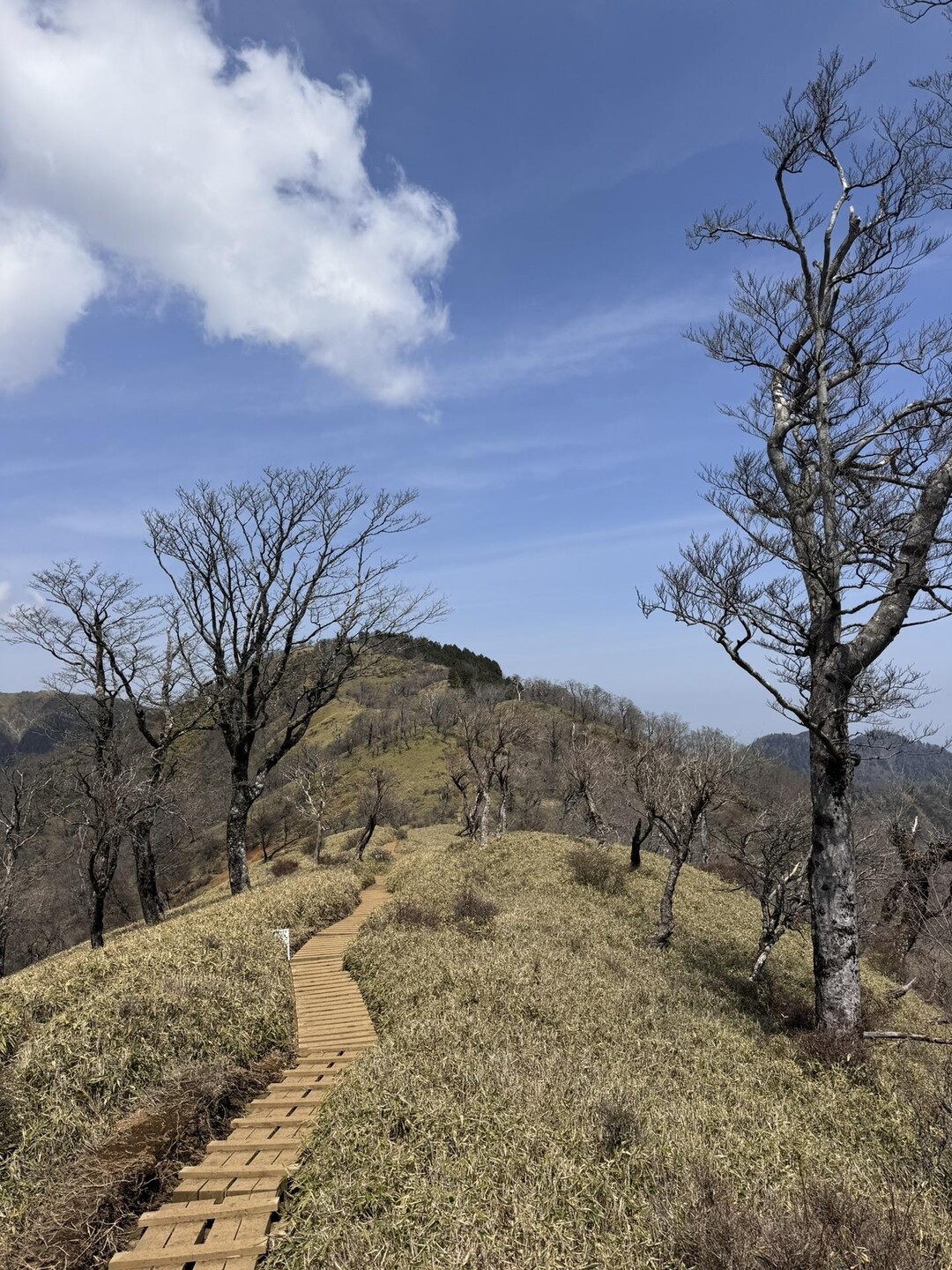 堀山・塔ノ岳・日高・竜ヶ馬場・丹沢山 / amiさんの塔ノ岳・丹沢山・蛭ヶ岳の活動データ | YAMAP / ヤマップ