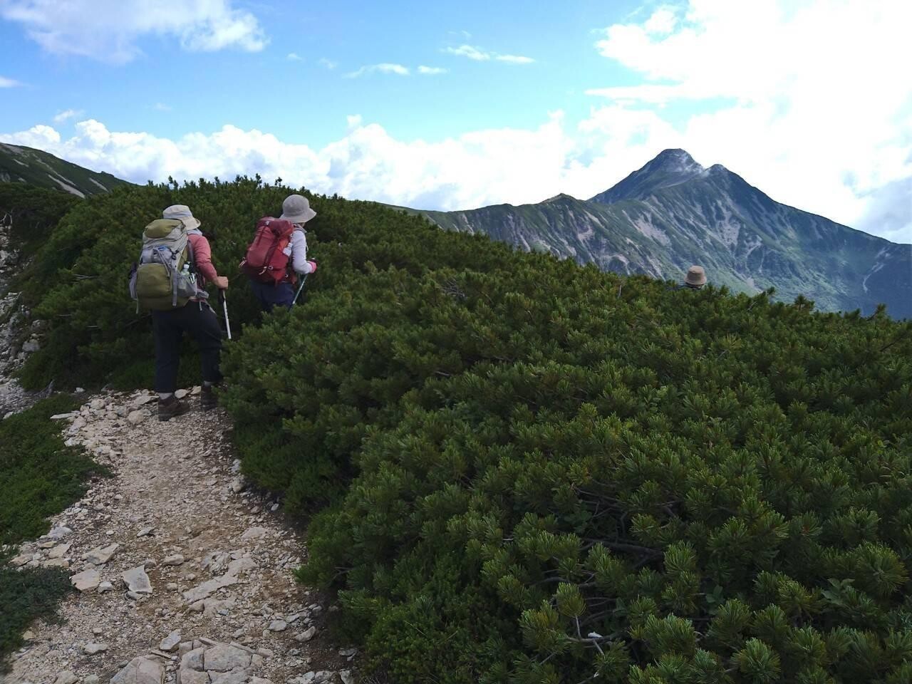 弓折岳・大ノマ岳・抜戸岳R5.8.6 / ミーさんさんの槍ヶ岳・穂高岳・上高地の活動データ | YAMAP / ヤマップ