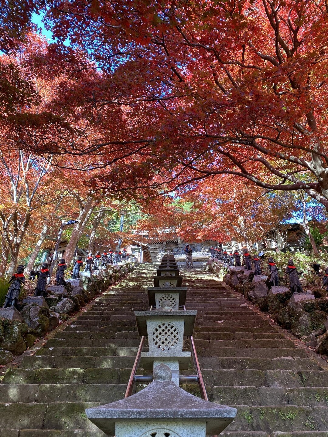 大山 紅葉登山🍁🍁 / Sam55さんの大山の活動データ | YAMAP / ヤマップ