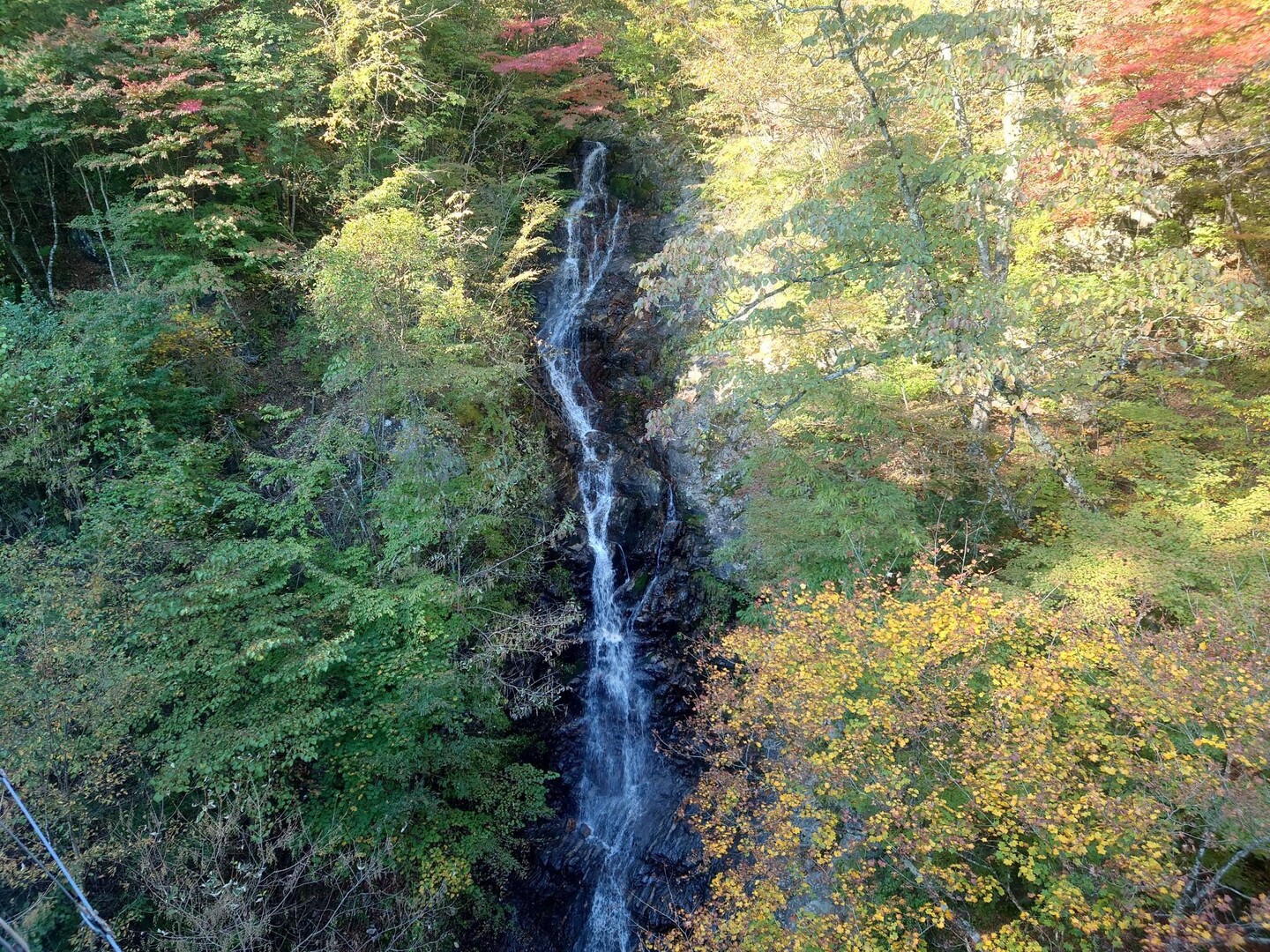 三頭山 / Kawaharaさんの三頭山・槇寄山・土俵岳の活動データ | YAMAP / ヤマップ
