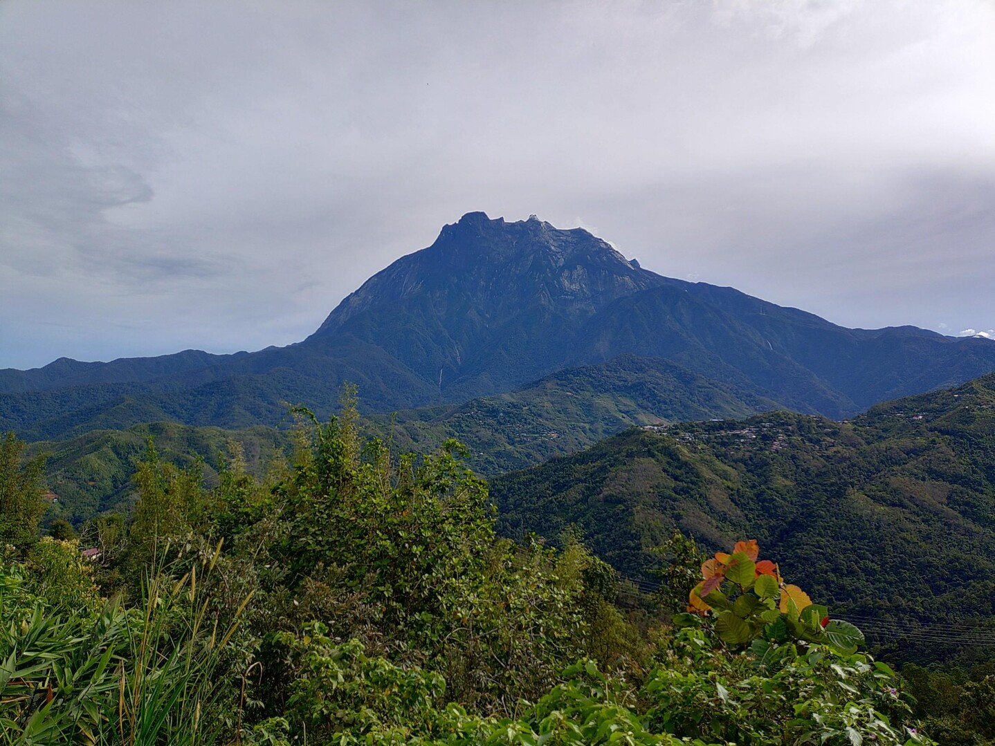 Poring spring・Kinabalu park🇲🇾2025-01-13 / canartさんのキナバル山の活動データ | YAMAP / ヤマップ