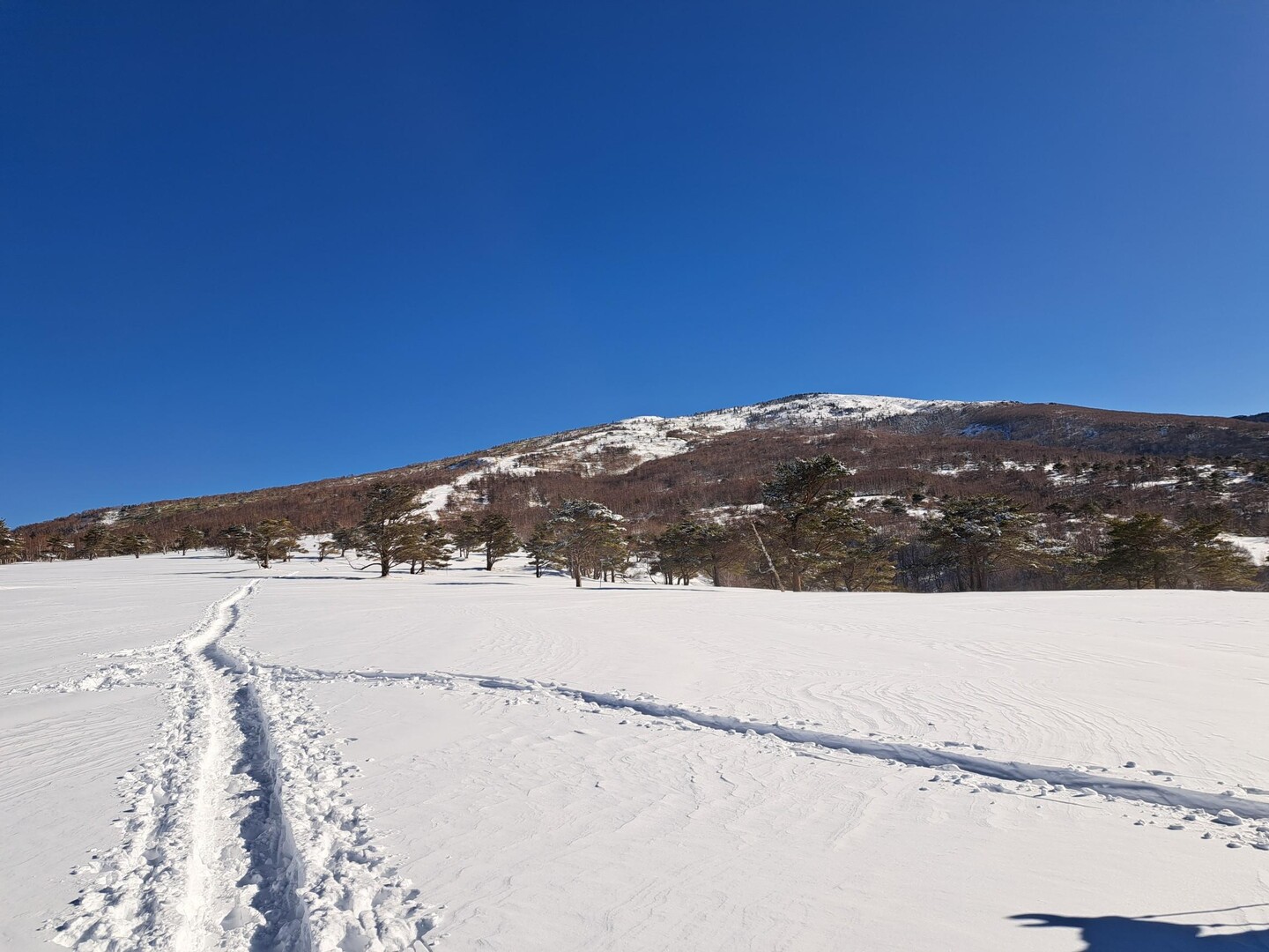 根子岳 雪山チャレンジ / rie.yさんの四阿山・根子岳の活動データ | YAMAP / ヤマップ