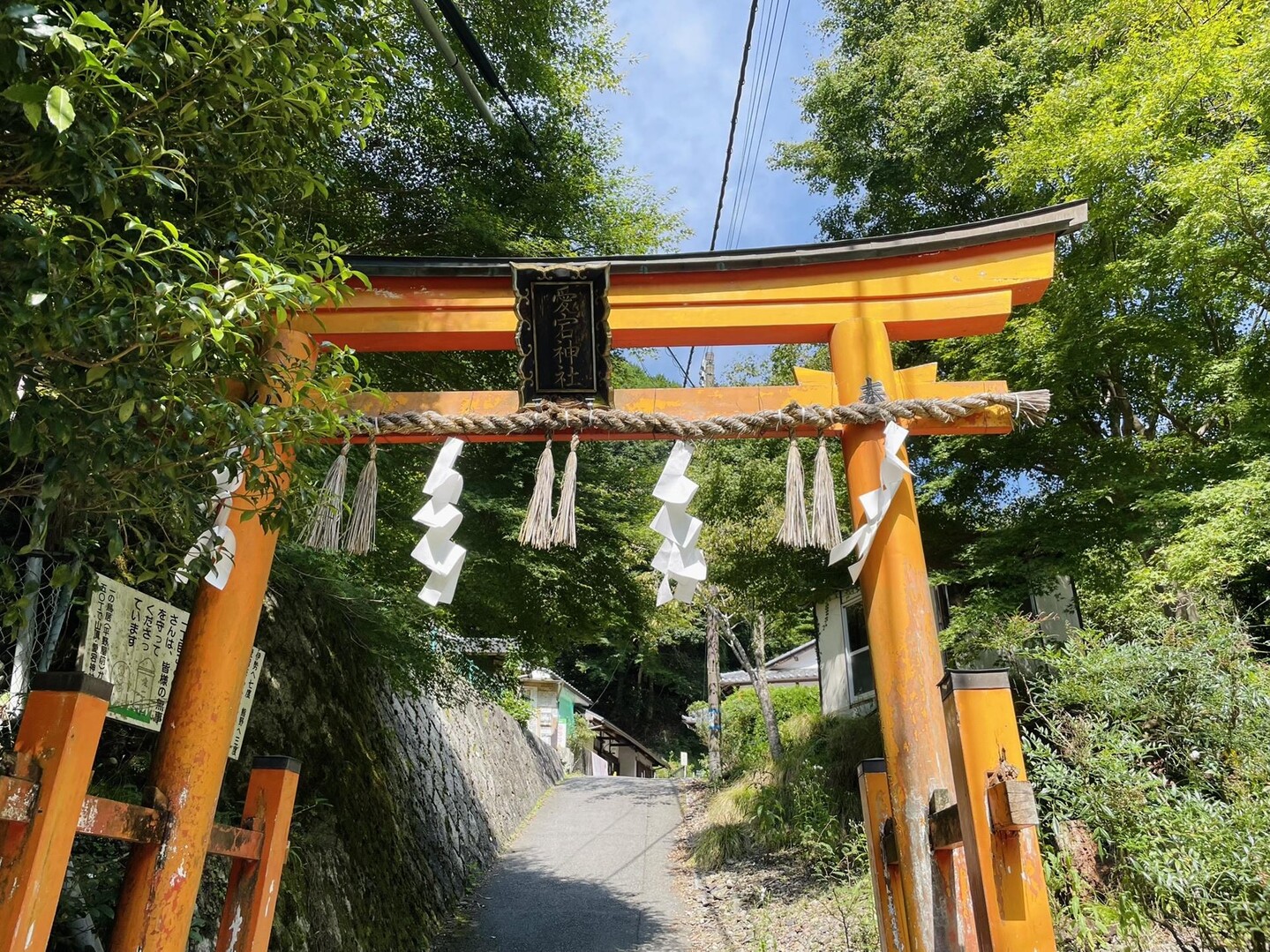 愛宕山 / joyさんのウォーキングの活動データ | YAMAP / ヤマップ