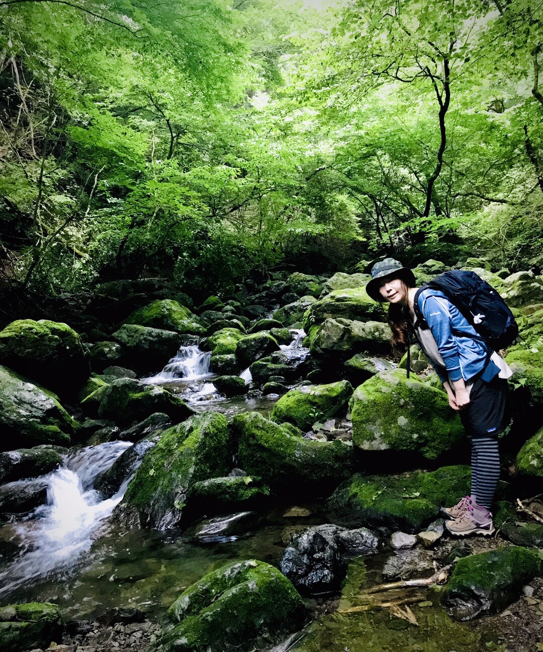 初めての奥多摩！海沢渓谷。 / usawoさんのウォーキングの活動データ | YAMAP / ヤマップ