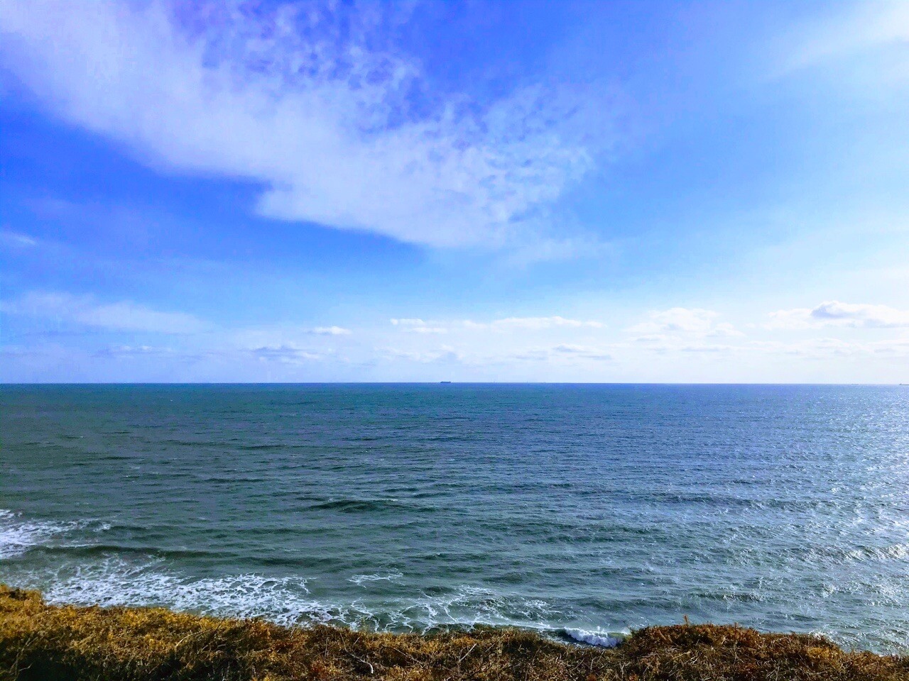 2021/3/7 天神岬スポーツ公園🚶‍♂️ウォーク / 🌟⭐️ムロッピー⭐️🌟 さんのウォーキングの活動データ | YAMAP / ヤマップ