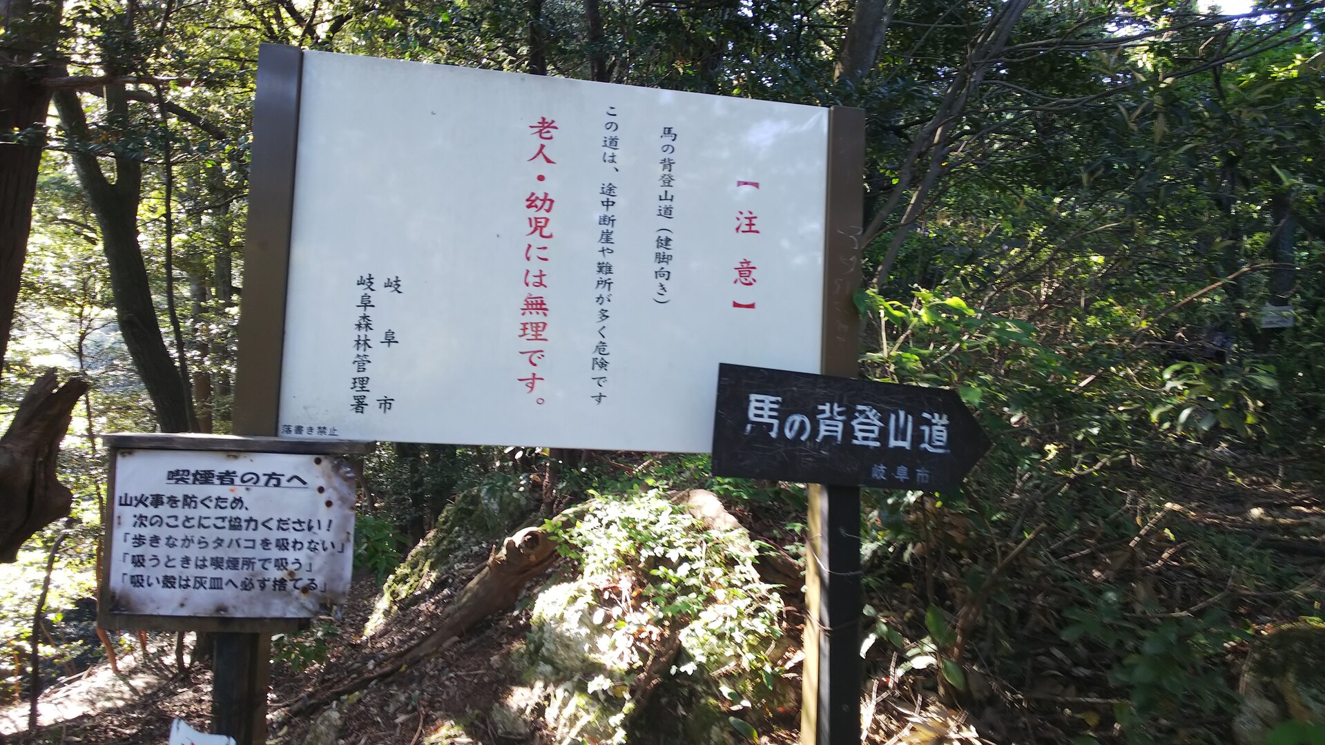 2021.05.03(月) 01:54 / やまりえっちさんのモーメント | YAMAP / ヤマップ