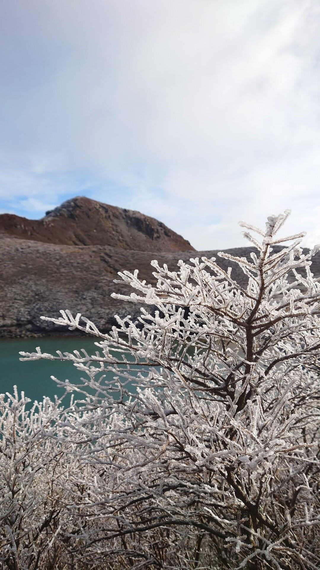 初冬のくじゅうへ / Chieさんの九重山（久住山）・大船山・星生山の活動データ | YAMAP / ヤマップ