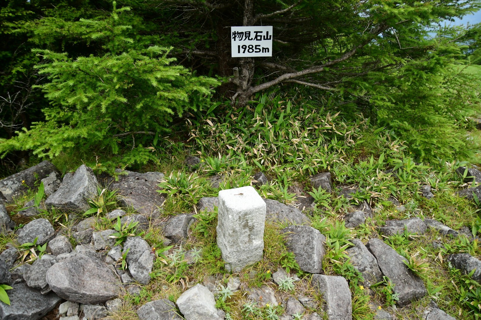 物見石山 / you1 さんの美ヶ原の活動データ | YAMAP / ヤマップ