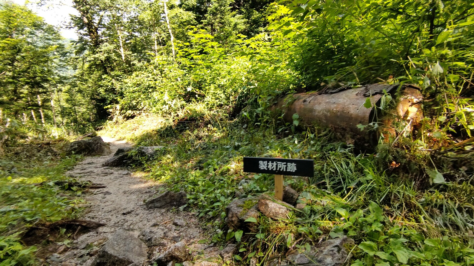 Enzouさんの投稿したフィールドメモ | YAMAP / ヤマップ