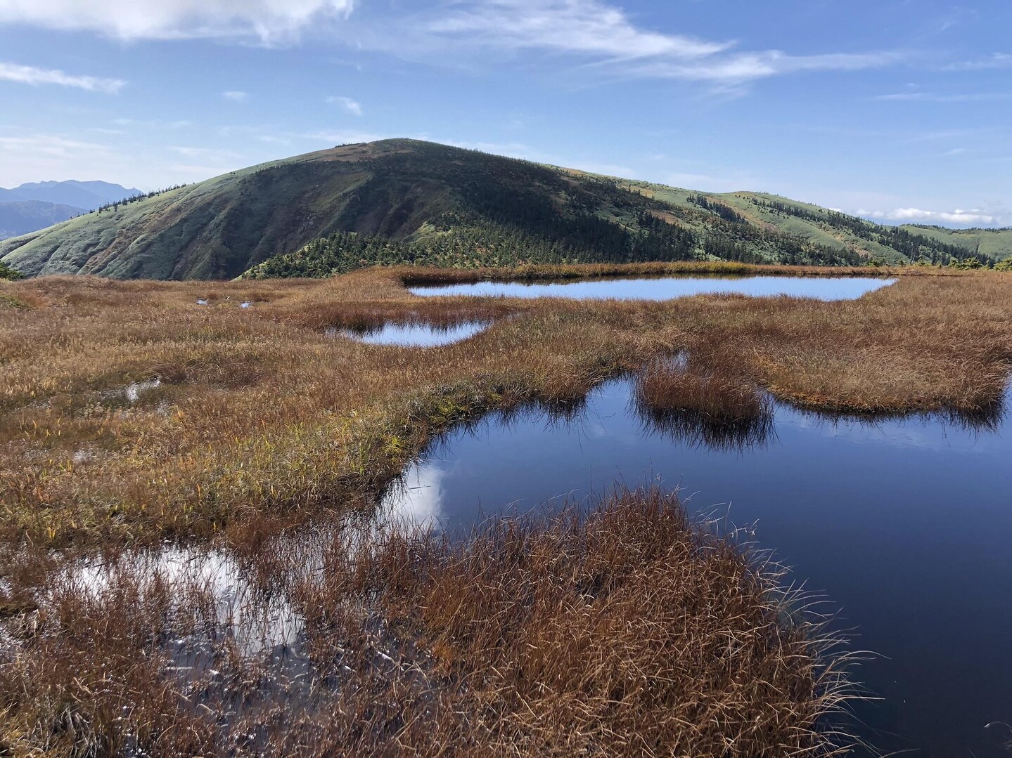 下台倉山・台倉山・池ノ岳・平ヶ岳 / necomaru Xさんの平ヶ岳・台倉山・池ノ岳の活動日記 | YAMAP / ヤマップ