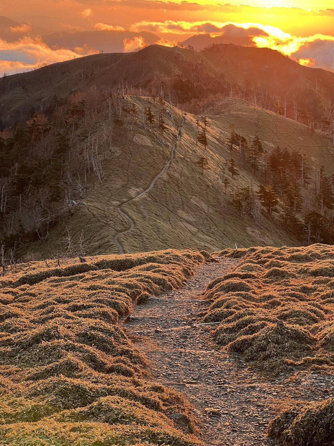 剣山〜朝駆け、雲海 #きれい / shuuu54さんの剣山の活動データ | YAMAP / ヤマップ
