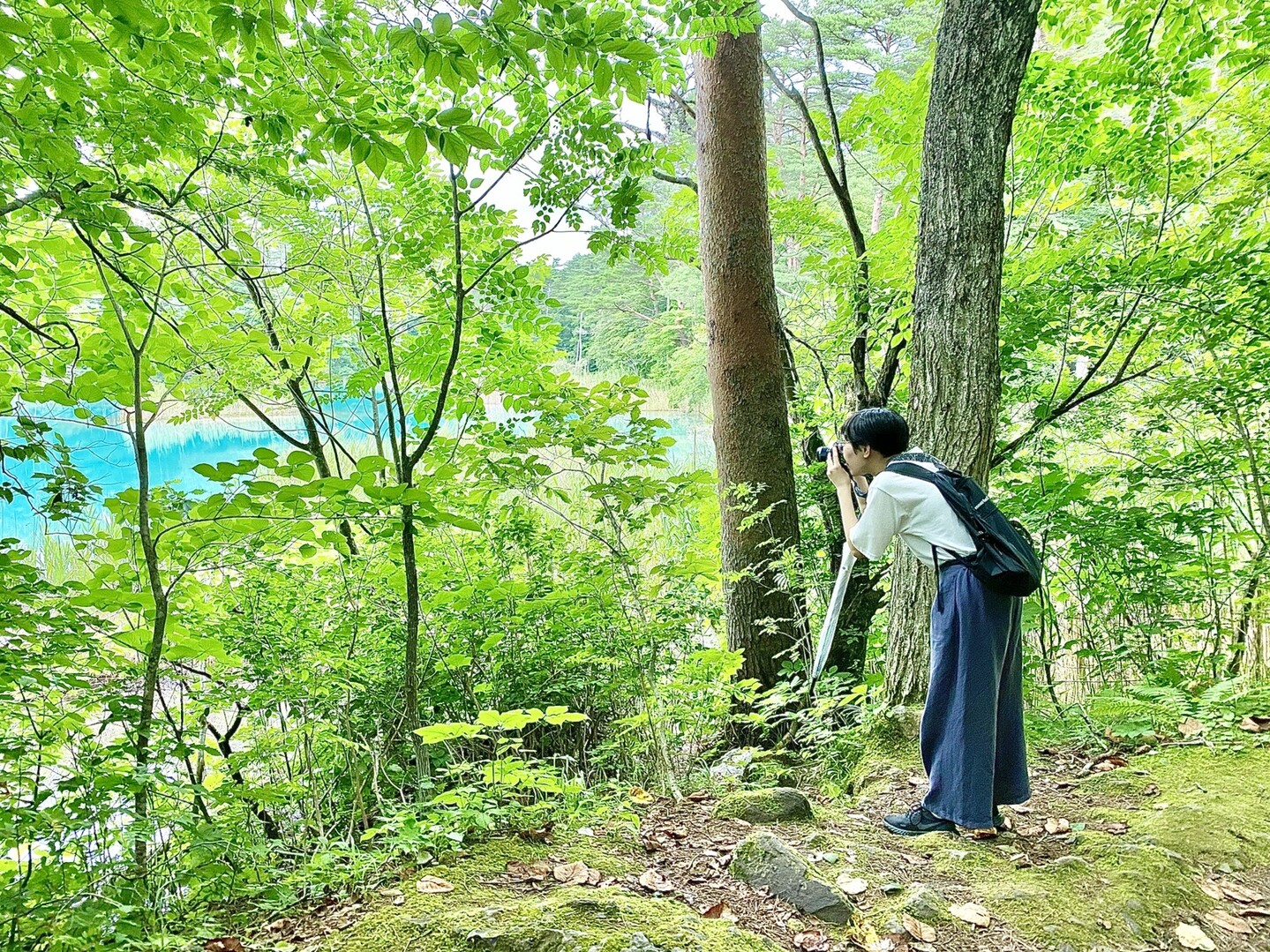 福島五色沼へ♬ / umiさんのウォーキングの活動データ | YAMAP / ヤマップ