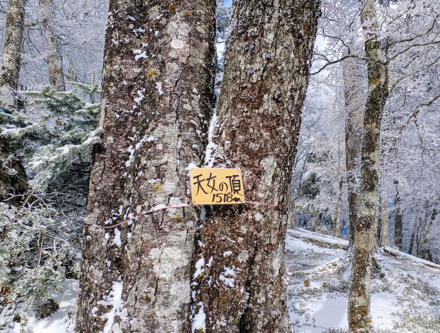 天女の頂 / shinpeiさんの八経ヶ岳の活動データ | YAMAP / ヤマップ