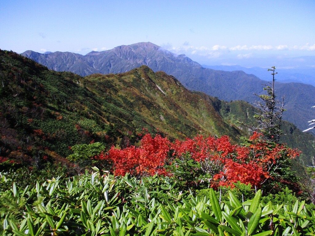 【二百名山】裏越後三山縦走1/3（銀山平～荒沢岳～陽の水） / NYAAさんの登山の活動日記 | YAMAP / ヤマップ