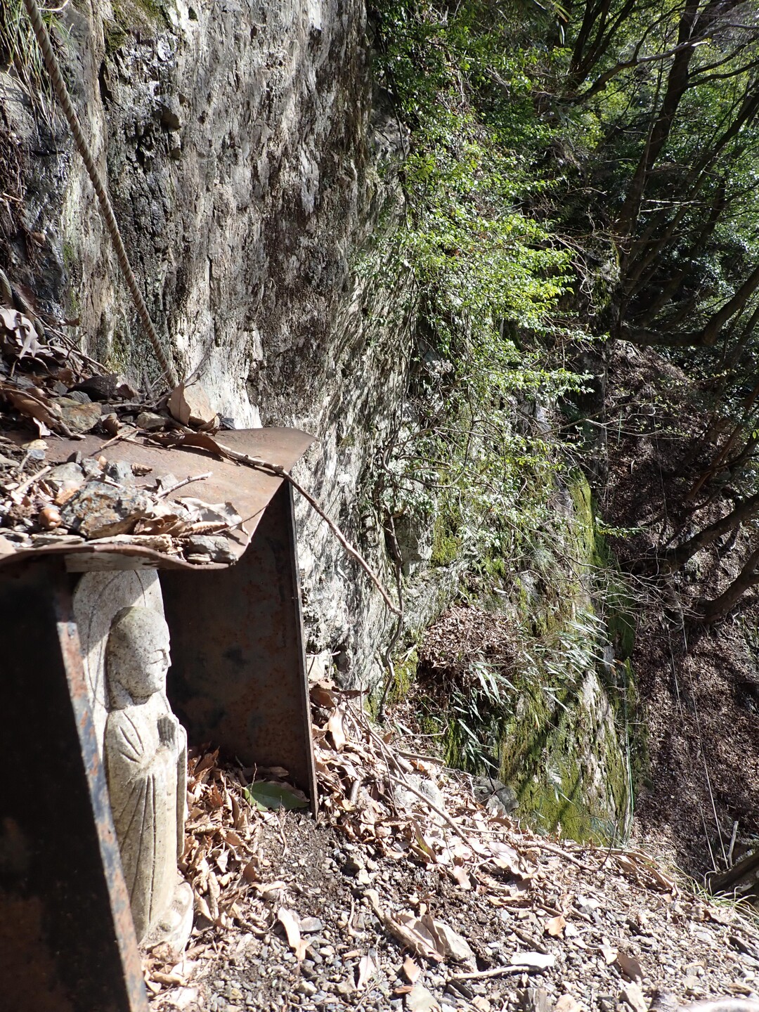 555さんの投稿したフィールドメモ | YAMAP / ヤマップ