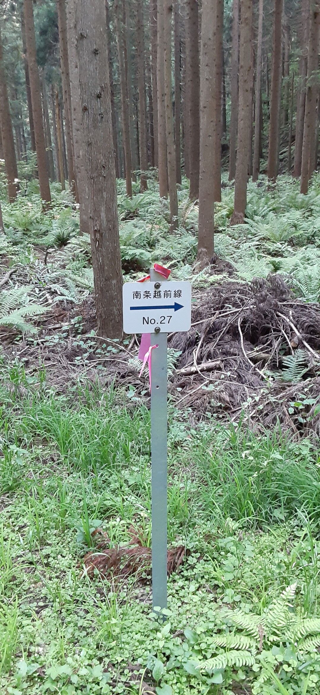 かなわたさんの投稿したフィールドメモ | YAMAP / ヤマップ