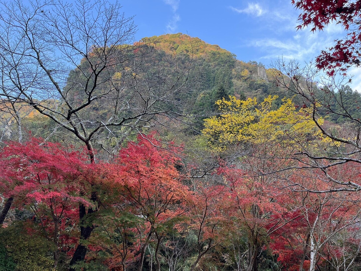 深耶馬渓へ行ってきました😊 ほぼ紅葉 ... / モラ2000さんのモーメント | YAMAP / ヤマップ