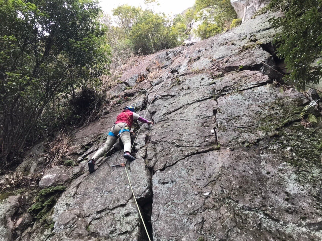 マルチデビュー石鎚神社 / kazukoさんのウォーキングの活動データ | YAMAP / ヤマップ