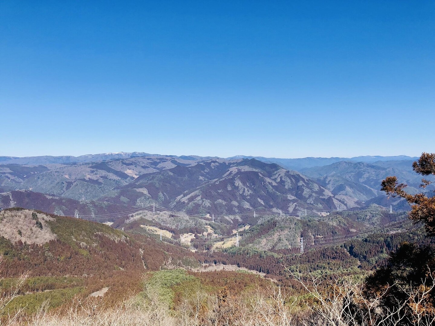 大峯山・〇西大峯山・オオネントウ / Coo・kie（くぅ🗝️）さんの大峯山・引寄山・鷹巣山の活動データ | YAMAP / ヤマップ