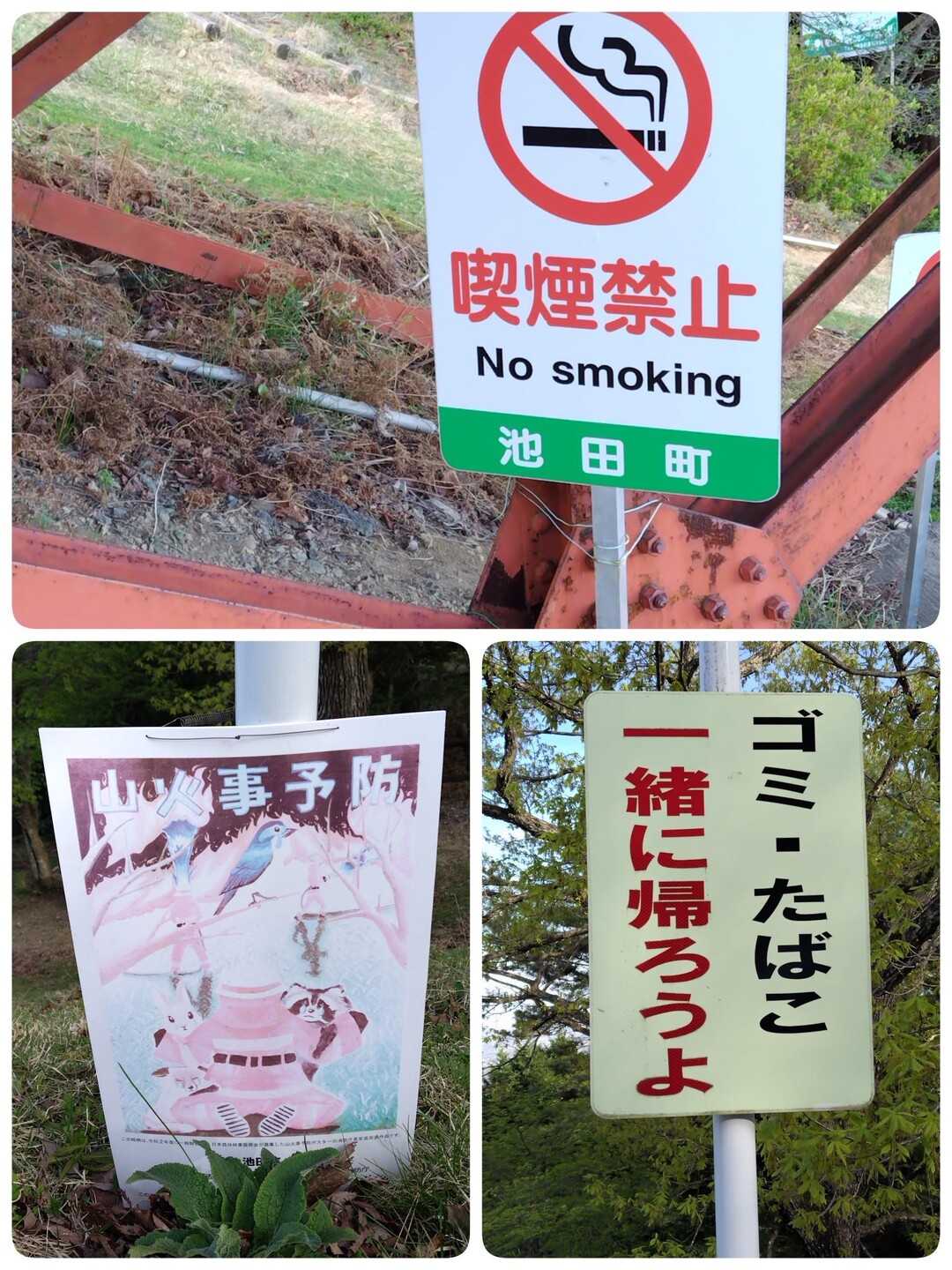 R5年初の“モク拾いは山へ” / 松本留五郎さんの池田山の活動データ | YAMAP / ヤマップ