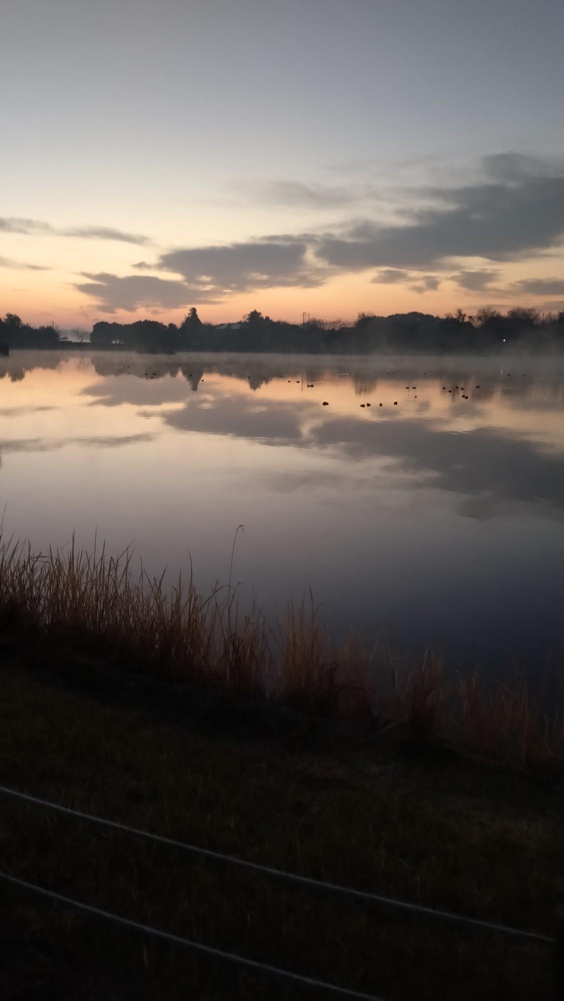 鶴沼山 12/1 / toshiさんの霞ヶ浦の活動データ | YAMAP / ヤマップ