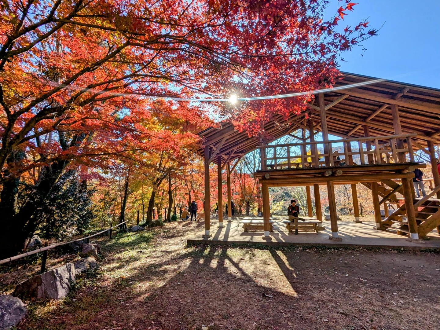 嵐山渓谷、大平山、玉川温泉 / もんちっちYさんの武蔵嵐山・大平山・仙元山の活動データ | YAMAP / ヤマップ