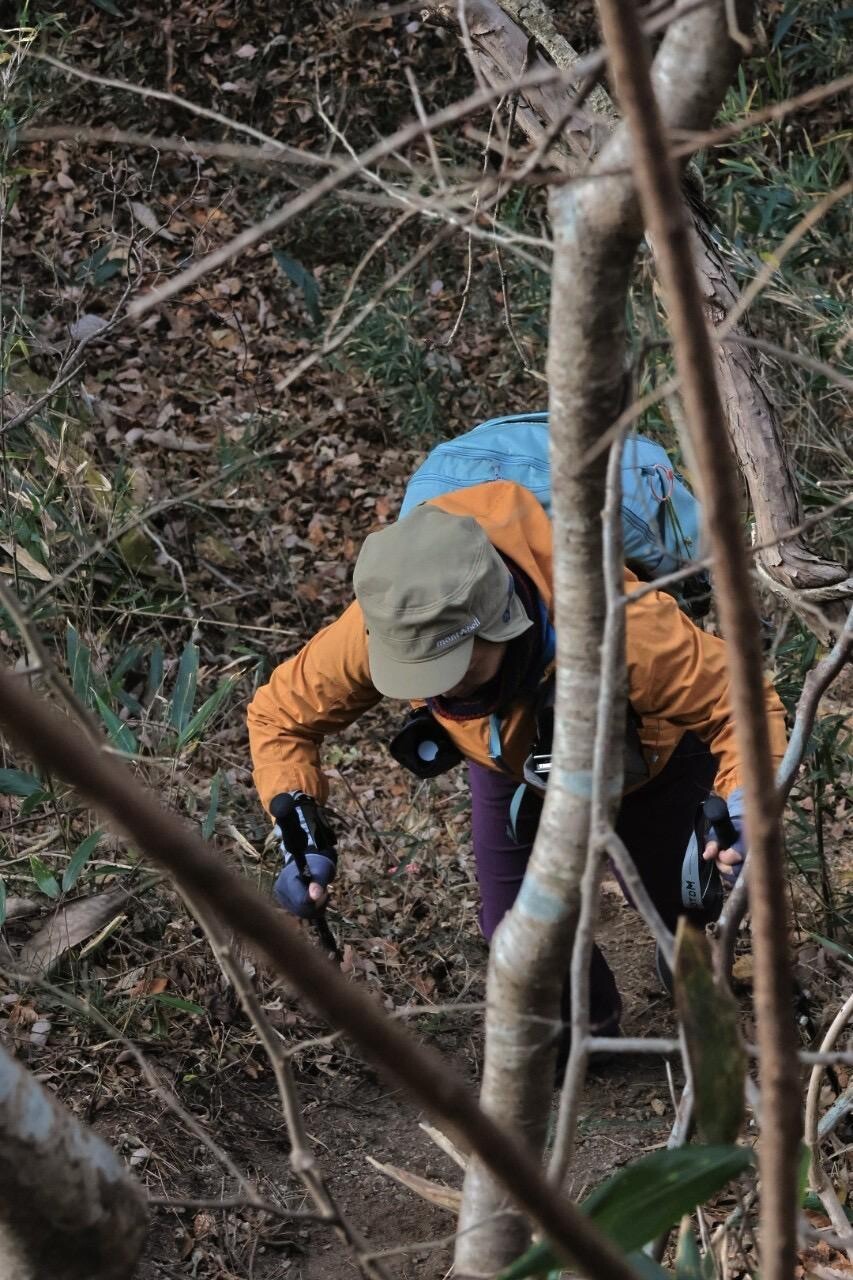 亘理地塁山地縦走⛰️⛰️⛰️🚶‍♂️🚶‍♂️🚶‍♂️第二弾 / chi-zuさんの深山の活動データ | YAMAP / ヤマップ