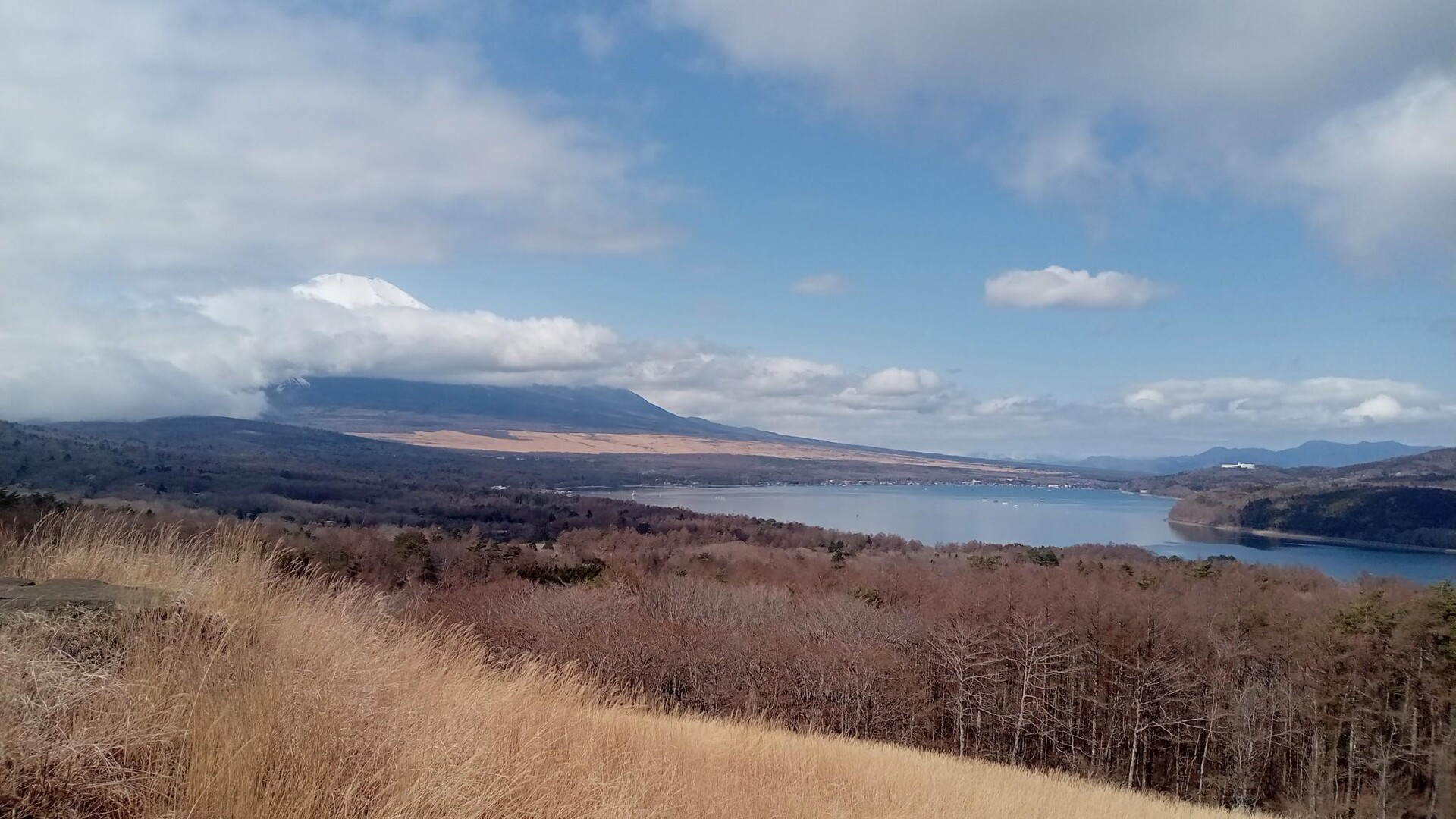 鉄砲木ノ頭(明神山)・大岩・高指山 / ともちょこさんの三国山の活動データ | YAMAP / ヤマップ