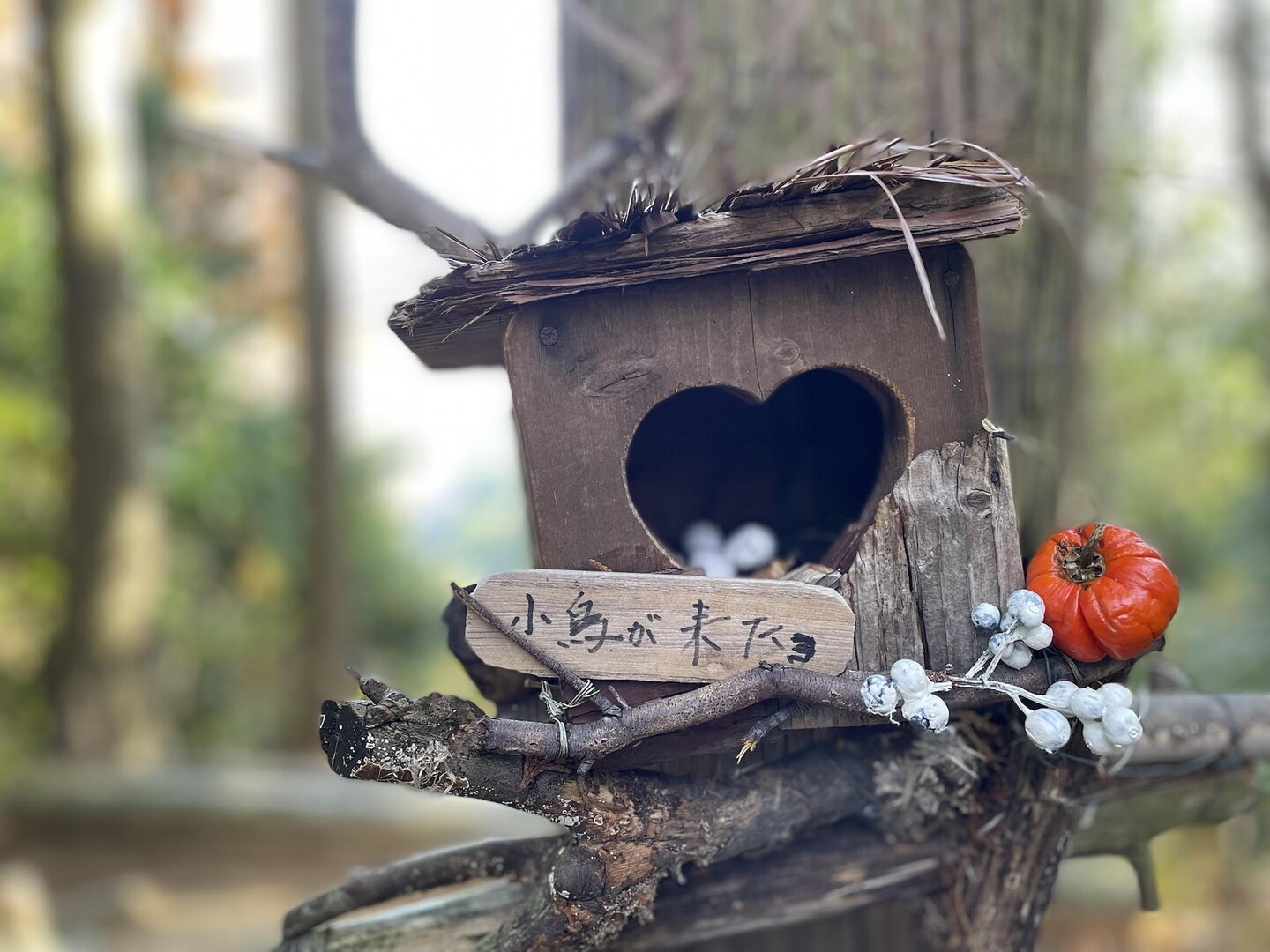 麻呂子山🎭・原岳🥋↘︎ ↗︎ 竹内山🎋・万才山🙌（当麻寺🎍駅から周回ﾙｰﾄ） / KANさんの金剛山・二上山・大和葛城山の活動データ | YAMAP / ヤマップ