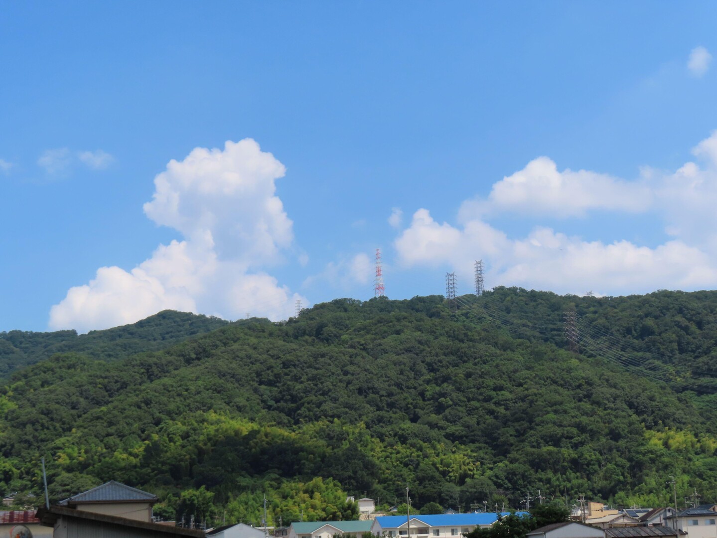 のどか村往復🏃（メマトイを吸い込んでしまうの巻） / Howardさんの生駒山・神津嶽・大原山の活動データ | YAMAP / ヤマップ