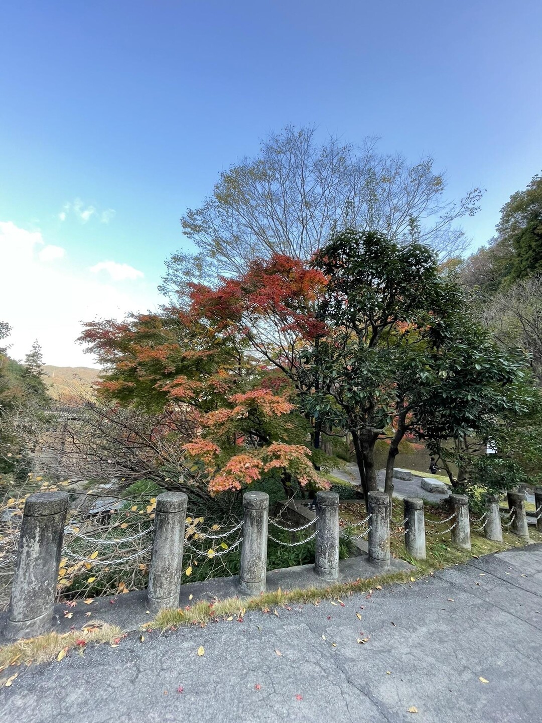 あづり越-2022-11-27 / ちーべ(chi-be)さんのあづり越の活動データ | YAMAP / ヤマップ