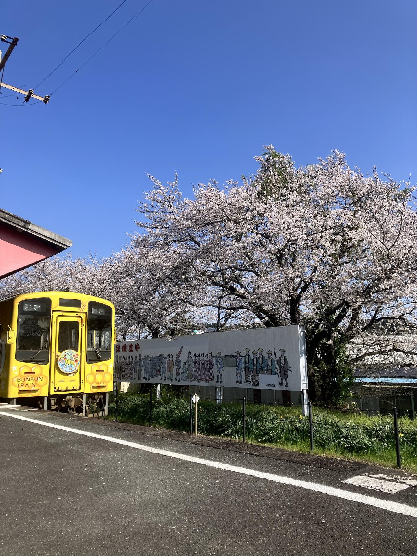 尉ヶ峰 / SHさんの富幕山・尉ヶ峰・竜ヶ石山の活動データ | YAMAP / ヤマップ