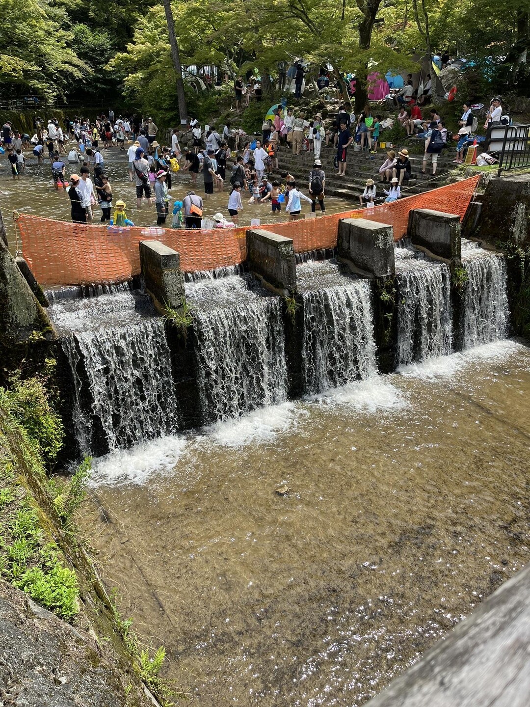 夏本番、岩巣山・元岩巣山 / Hideckさんの岩巣山・三国山・折平山の活動データ | YAMAP / ヤマップ