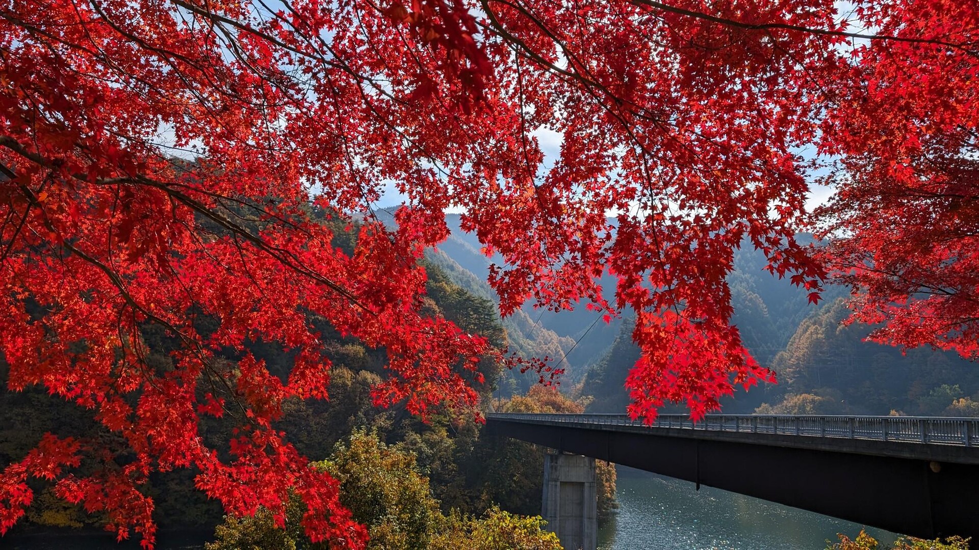 もみじ湖(箕輪ダム) / D-sakuさんの守屋山の活動データ | YAMAP / ヤマップ