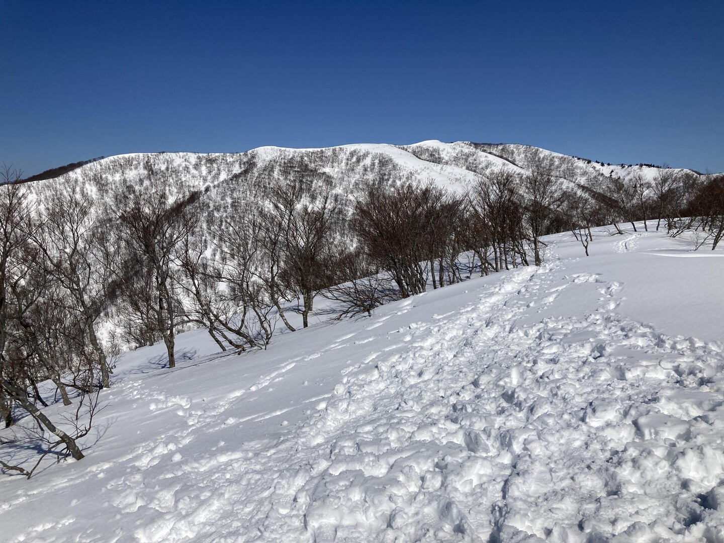 風越山 / hi-chanさんの菅名岳・大蔵山・鳴沢峰の活動データ | YAMAP / ヤマップ