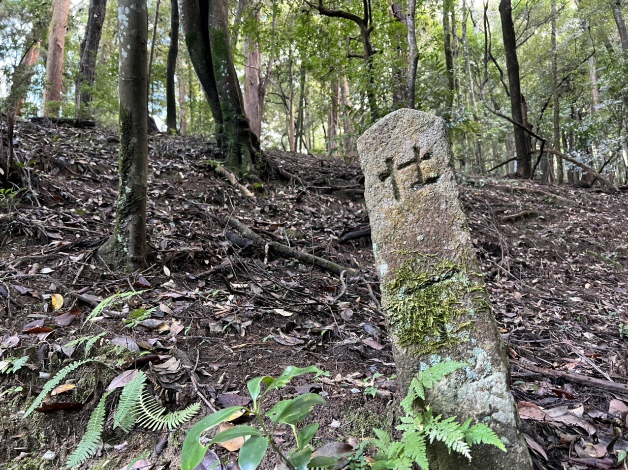 【若草山】春日山原始林の散策 若草山の写真33枚目 【世界遺産 春日山原始林】 山深いところ Yamap ヤマップ