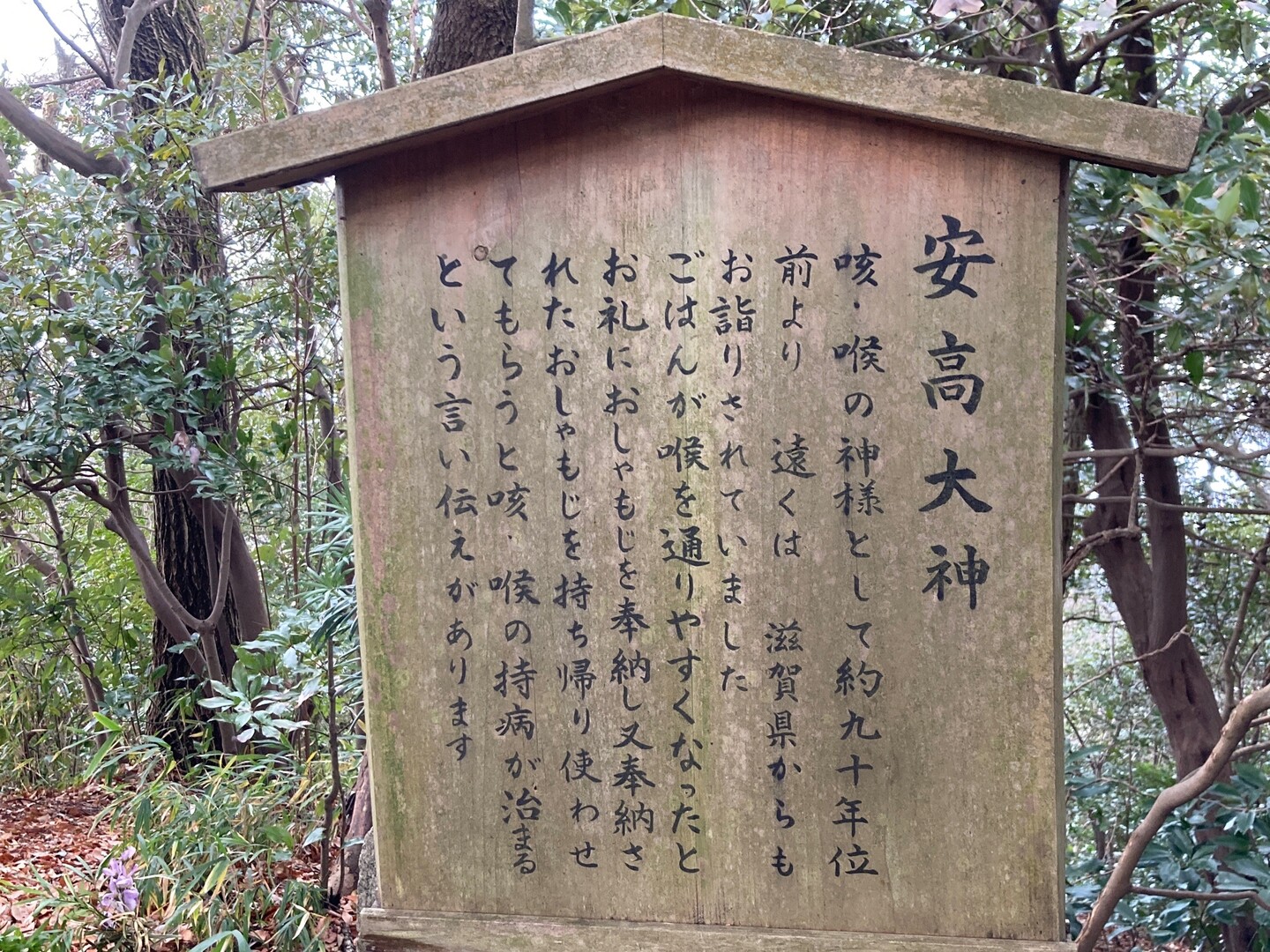 安高大神 / msr0331さんの生駒山・神津嶽・大原山の活動データ | YAMAP / ヤマップ