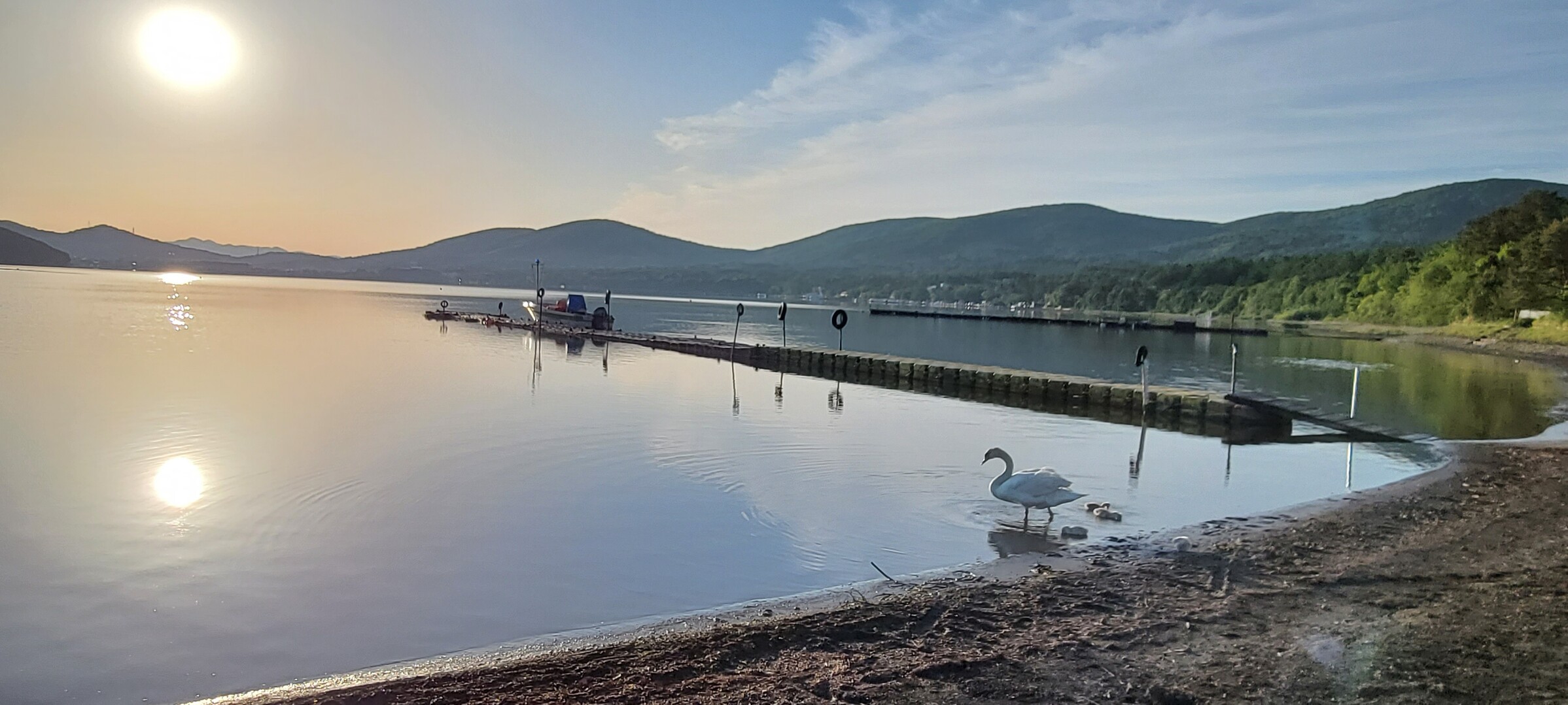 山中湖ロードレース スタート9:15 / Kou Moriyamaさんのモーメント | YAMAP / ヤマップ