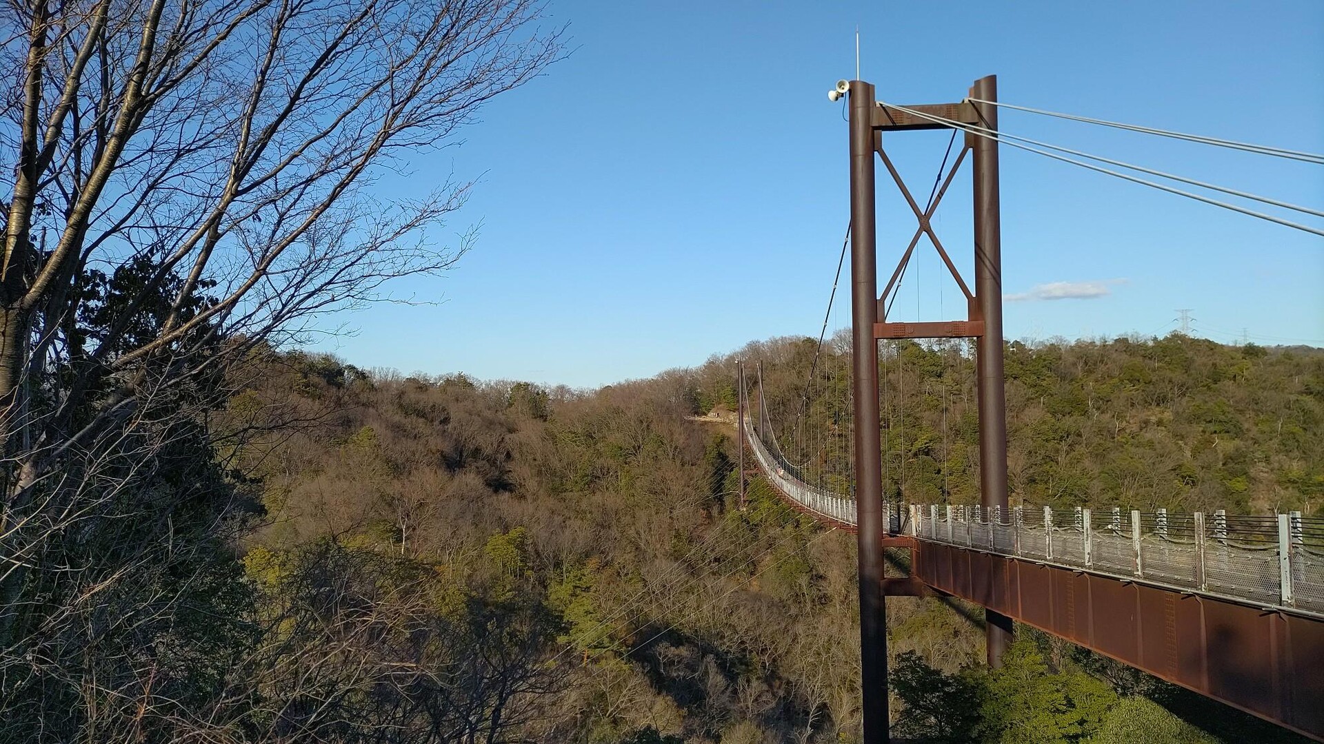 星田60が52に / mie君さんの交野山・国見山の活動データ | YAMAP / ヤマップ