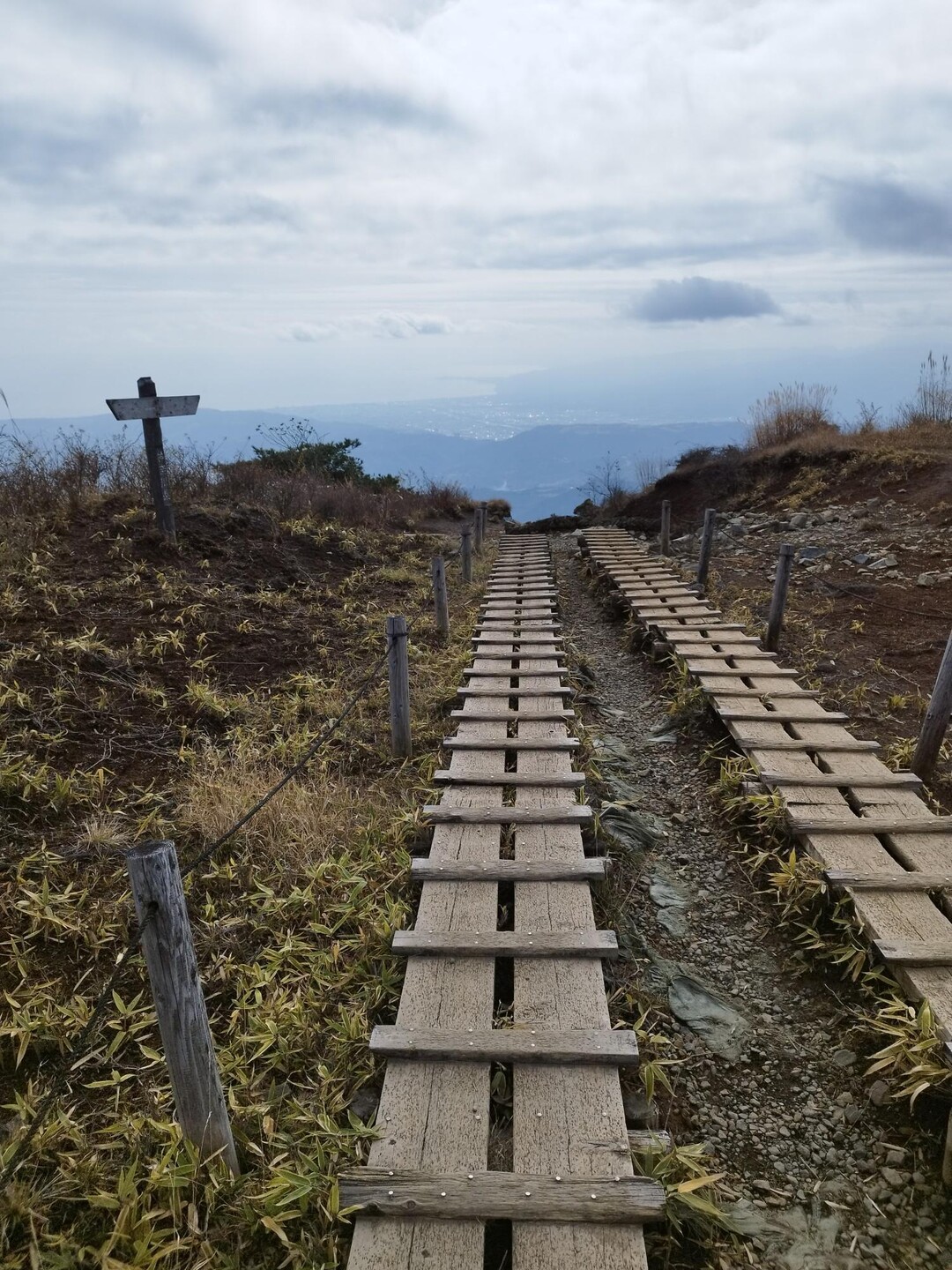書策新道〜木ノ又尾根 / horitakaさんの塔ノ岳・丹沢山・蛭ヶ岳の活動データ | YAMAP / ヤマップ