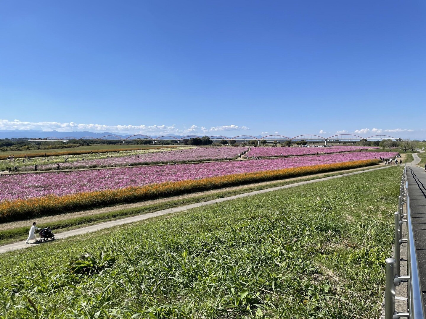 コスモスアリーナ吹上 / junさんのモーメント | YAMAP / ヤマップ