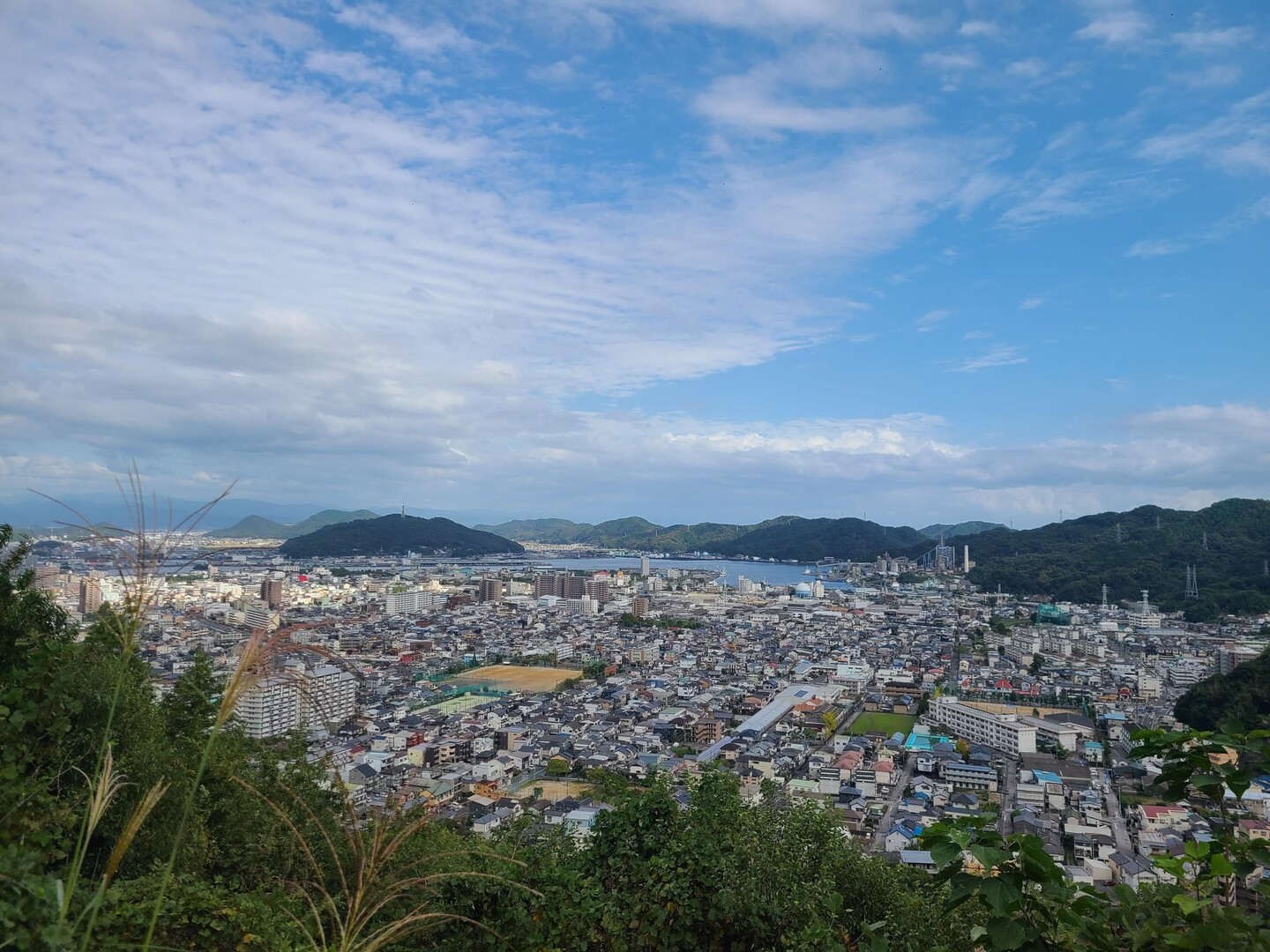 皿ヶ峰・鷲尾山 / mimiさんの鷲尾山・皿ヶ峰・宇津野山の活動データ | YAMAP / ヤマップ