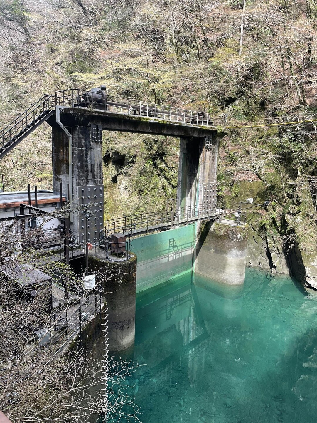 ユーシン-2024-04-07 / NATSUさんの登山の活動データ | YAMAP / ヤマップ