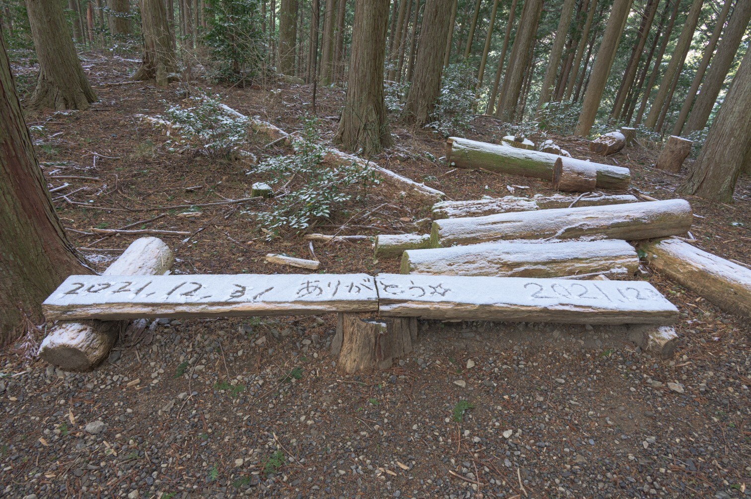 登山中に見つけた感謝の意 / vlog_tottiyさんのモーメント | YAMAP / ヤマップ