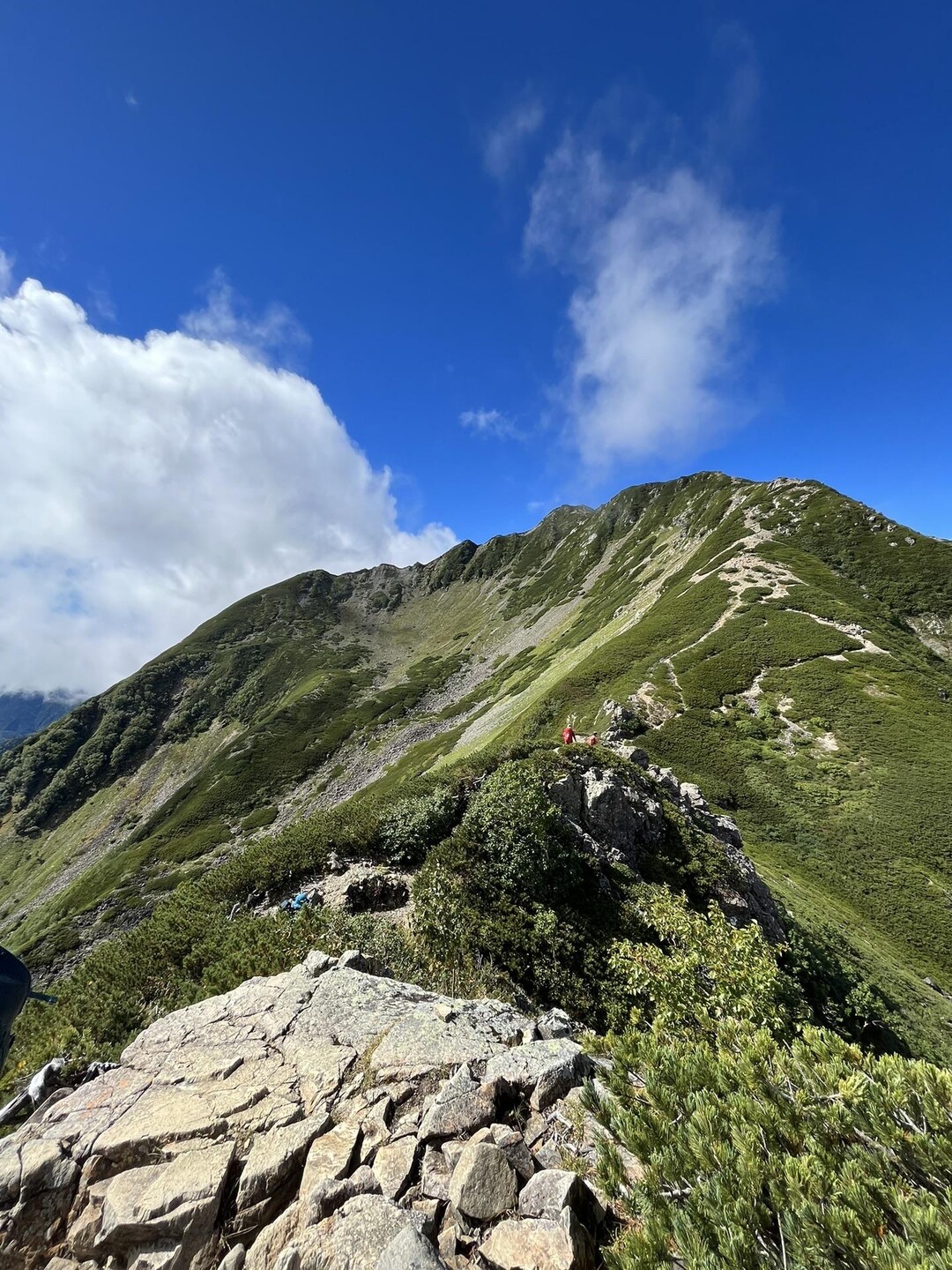 仙丈ヶ岳 / so!yo!さんの仙丈ヶ岳・伊那荒倉岳の活動データ | YAMAP / ヤマップ