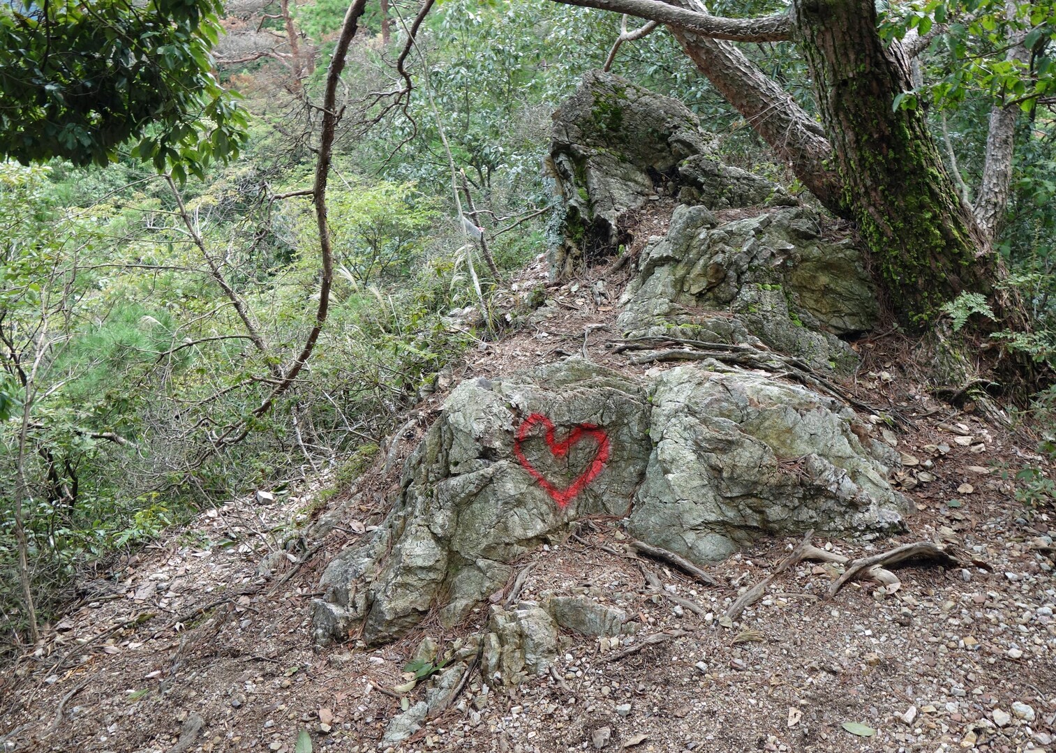 wtaxus わたくさすさんの投稿したフィールドメモ | YAMAP / ヤマップ