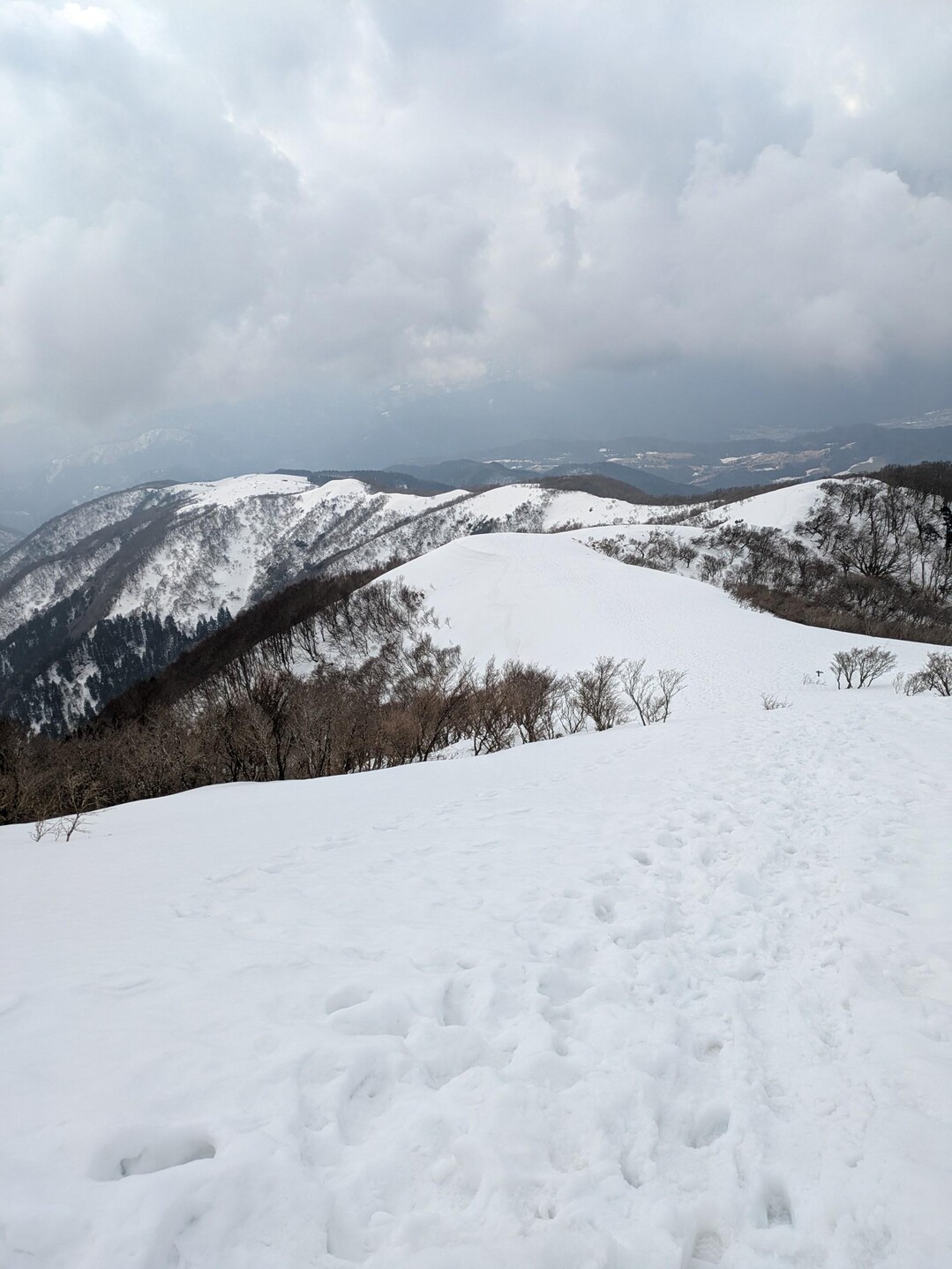 三十三間山 / yasuさんの三十三間山・三重嶽・武奈ヶ嶽の活動日記 | YAMAP / ヤマップ