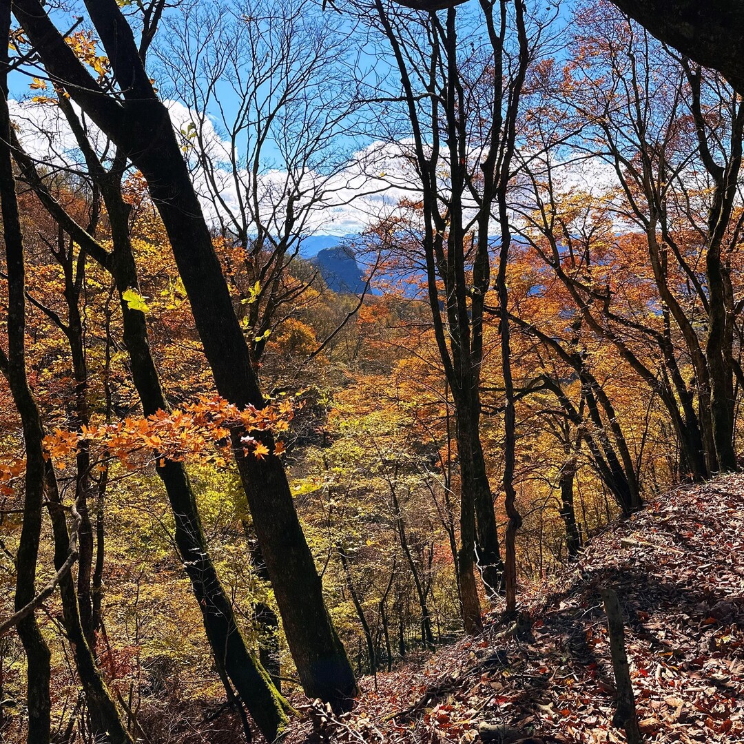 真冬並み？突風の荒船不動尊より荒船山（経塚山） / qkaruさんの荒船山・物語山・大屋山の活動データ | YAMAP / ヤマップ