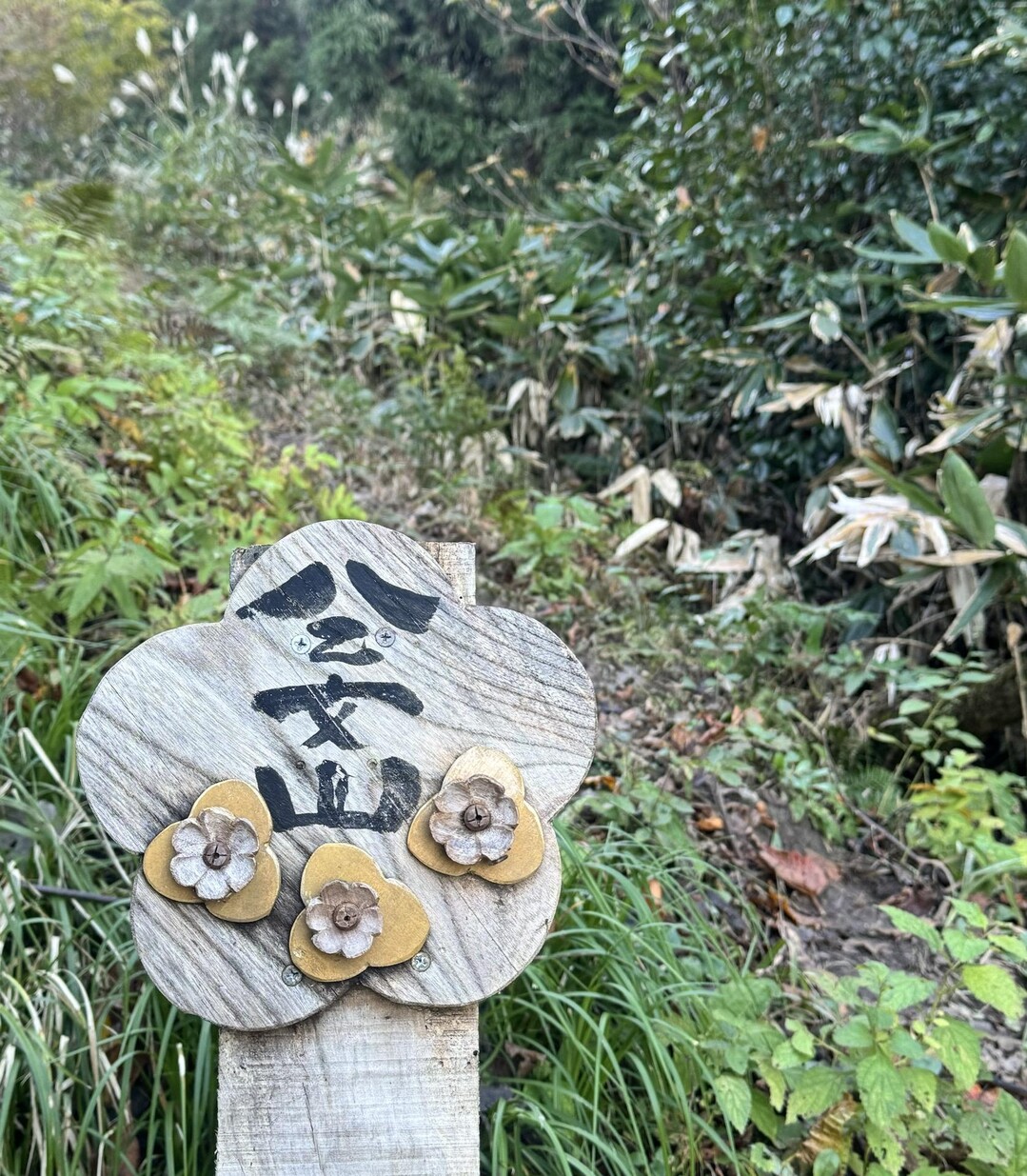 八乙女山・大寺山 / TOMさんの高清水山・高落場山・八乙女山の活動データ | YAMAP / ヤマップ